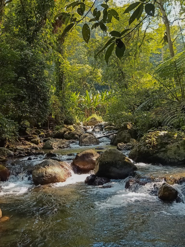 10 Places to Visit in Lake Sebu + Things to Do! - The Adventuress