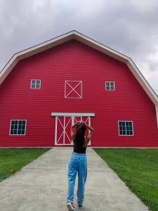 The Old Grove Farmstead: A Complete DIY Travel Guide - Ara Patria